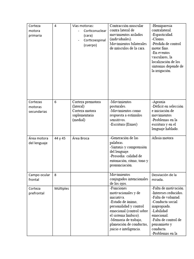 Corteza Motora Primaria | PDF | Ciencias del comportamiento | Cognición