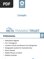 CompEx Ex01-04 Practice Questions | PDF