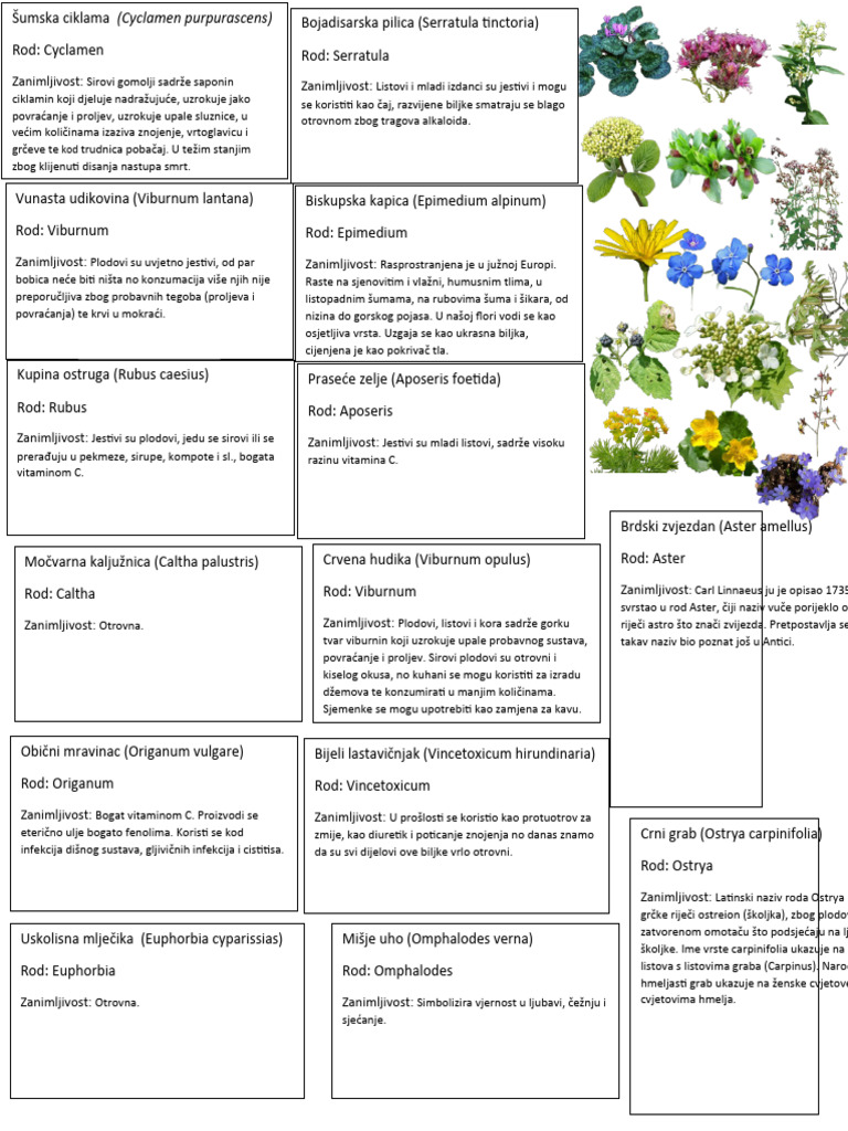 Biljke | PDF
