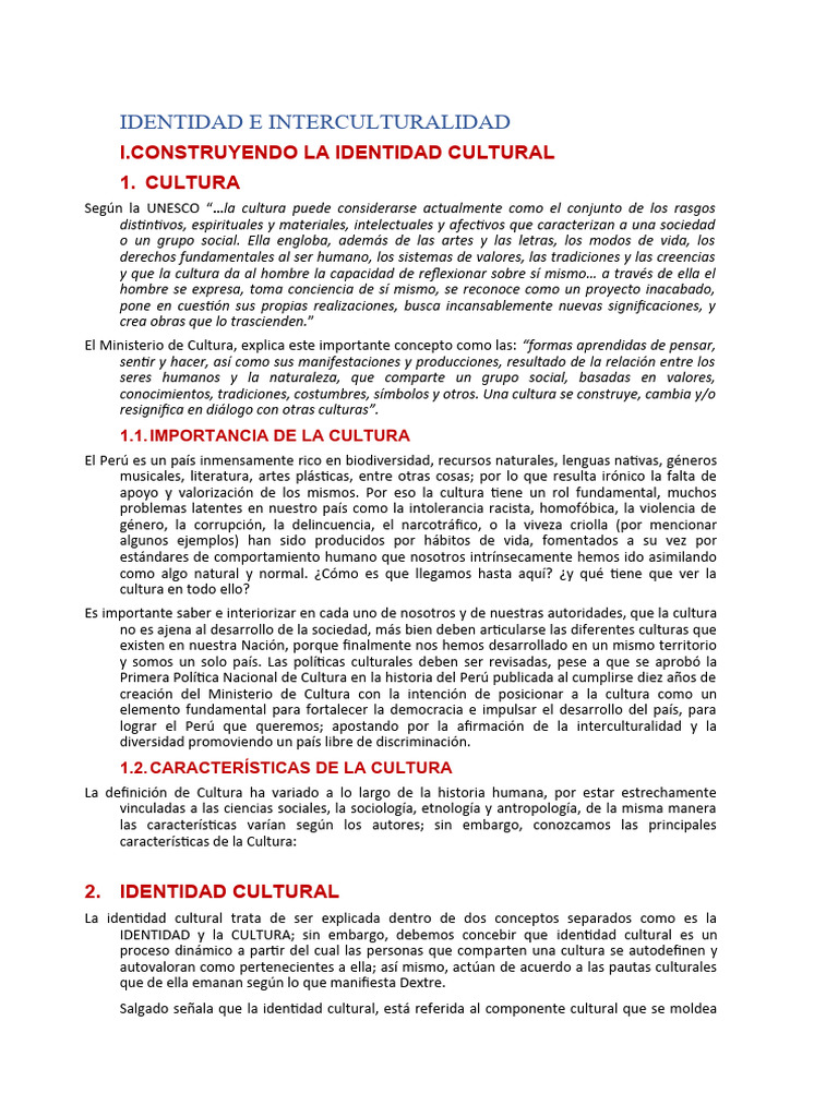 Identidad y Diversidad Cultural | PDF | Mediación