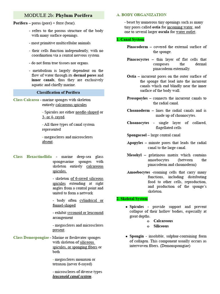 MODULE 2b | PDF | Sponge | Aquatic Animals
