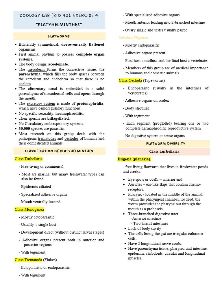 Zoology Lab 4 | PDF