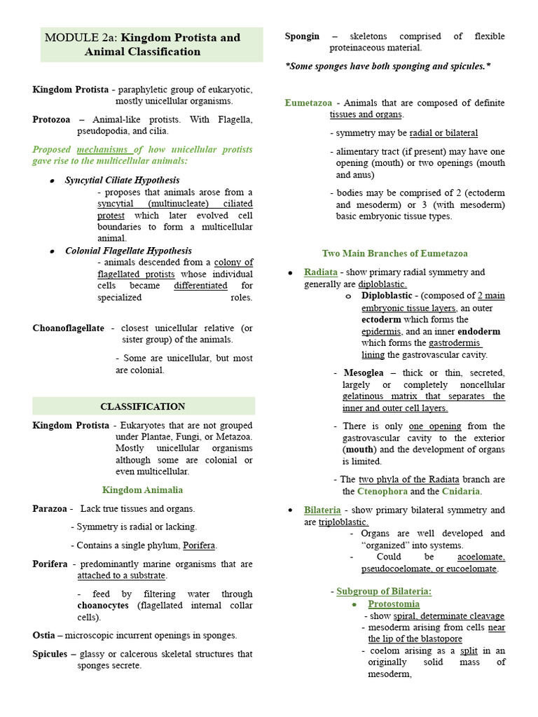 Zoology 2 | PDF | Sponge | Zoology