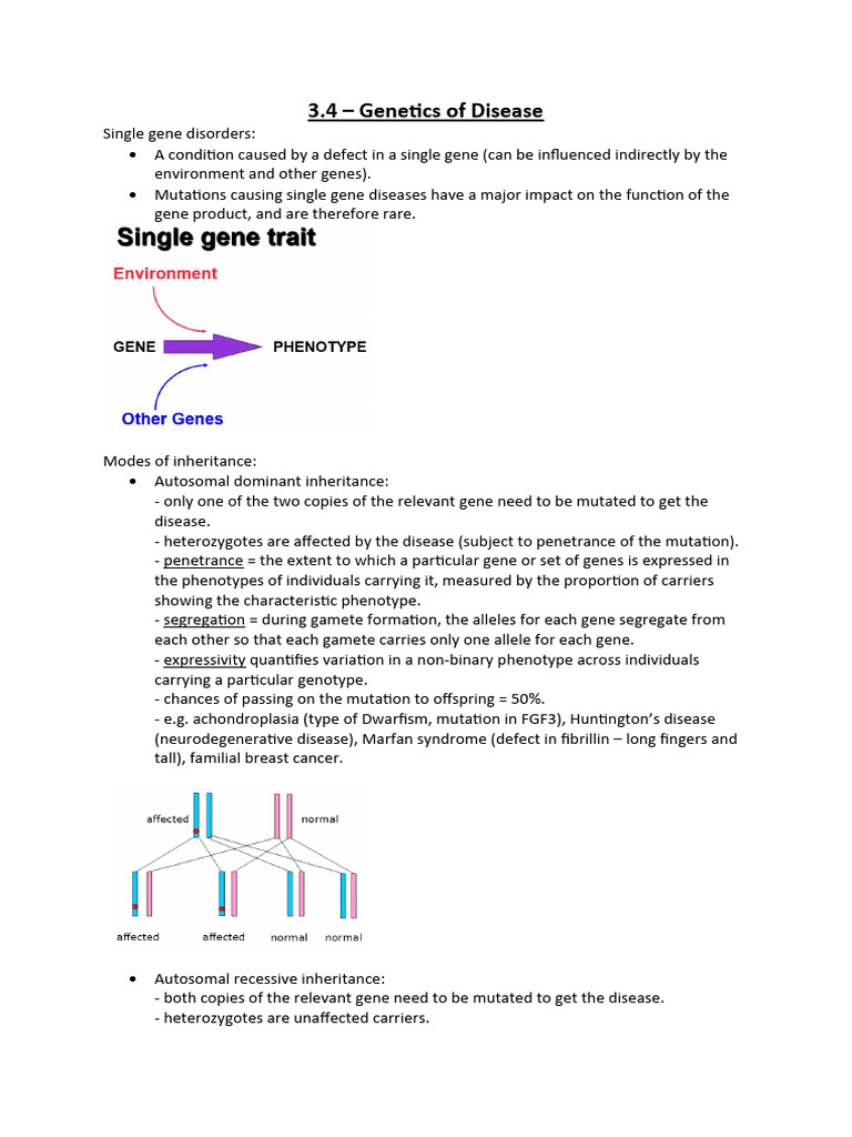 3.4 - Genetics of Disease | PDF | Quantitative Trait Locus | Twin