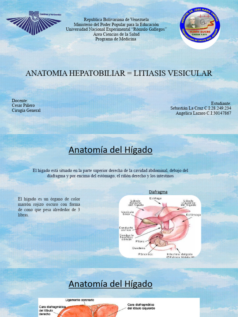 Anatomia Hepatobiliar | PDF