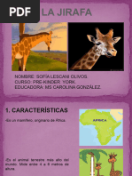 Historia de Las Jirafas | PDF | Evolución