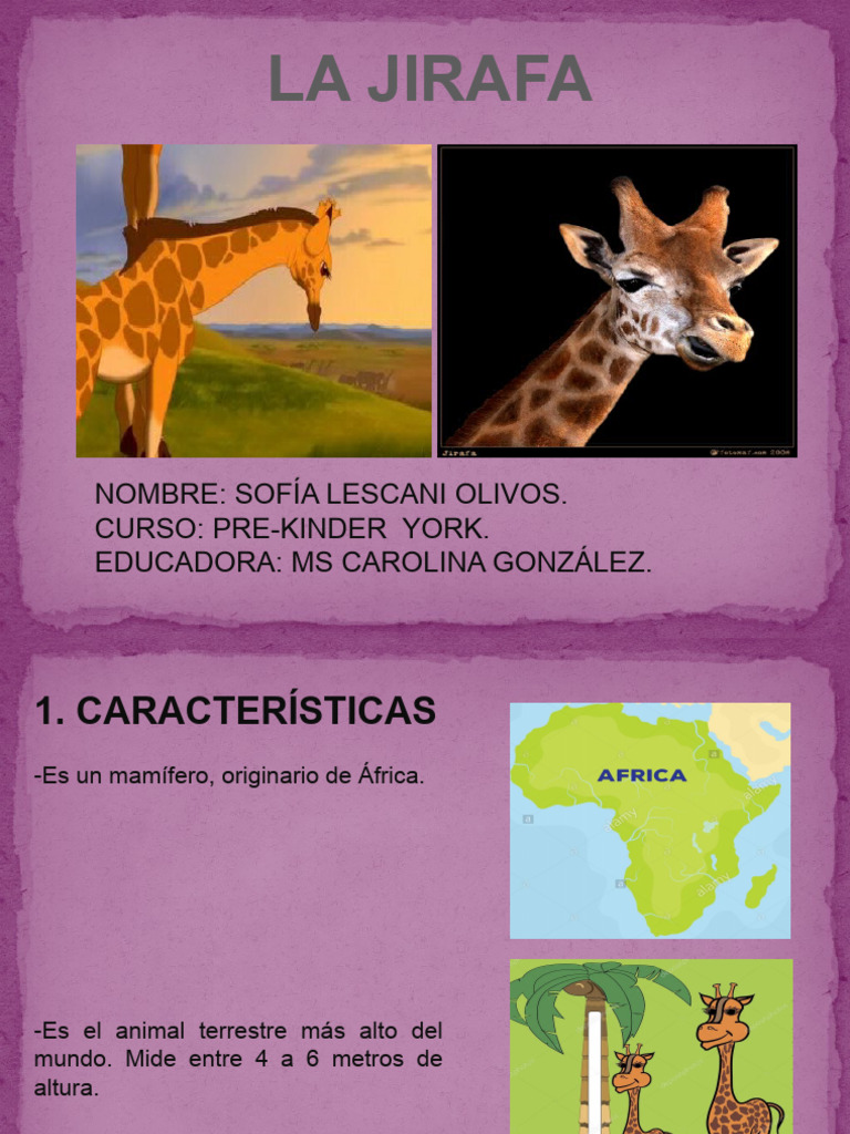 Disertación+La+jirafa | PDF