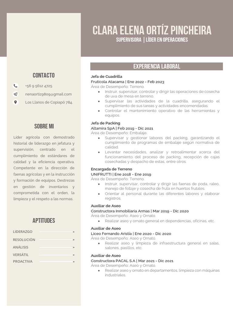 Clara Ortíz - CV | PDF