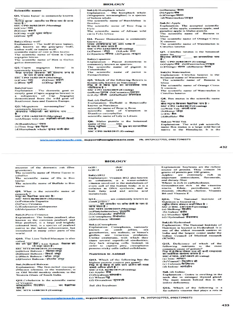 Pinnacle Biology | PDF | Leaf | Vitamin