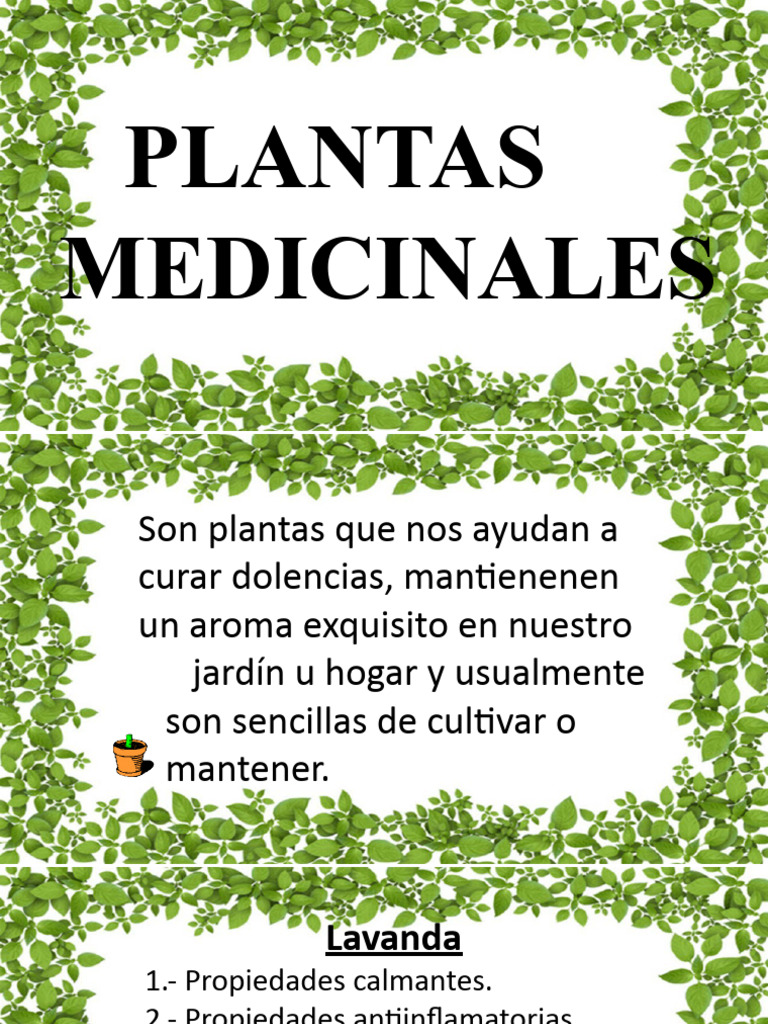 Plantas Medicinales Pdf