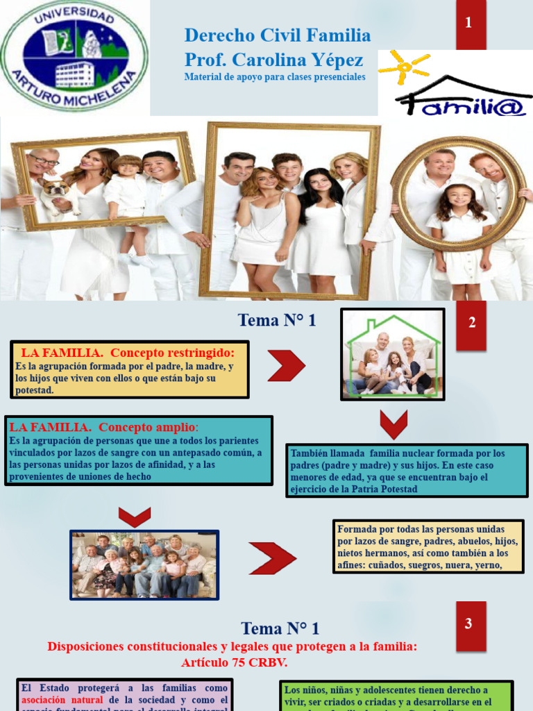 Tema 1 Familia | PDF | Familia | Adopción