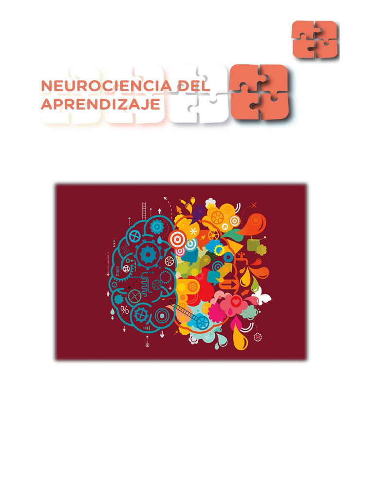Eje II_Neurociencias Psicopedagogía-CI | PDF | Sistema nervioso | Neurona