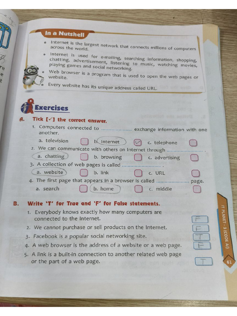 Computer Ch-5 Internet (Class - 3) | PDF