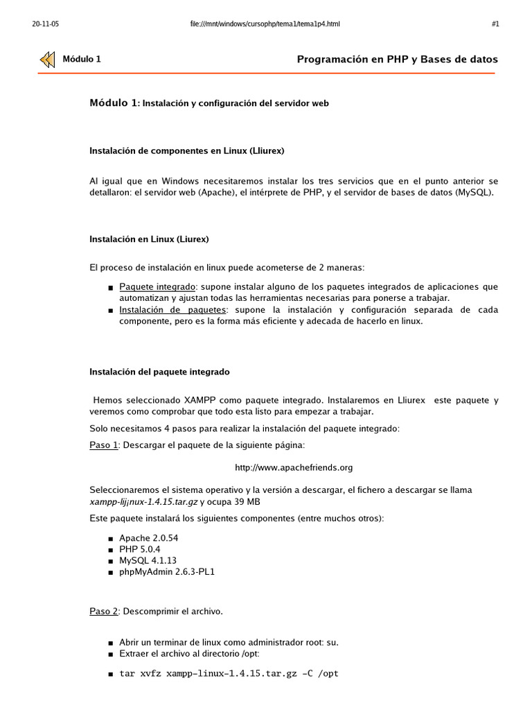 Tema 1 P 4 | Descargar gratis PDF | Redes | Internet y web