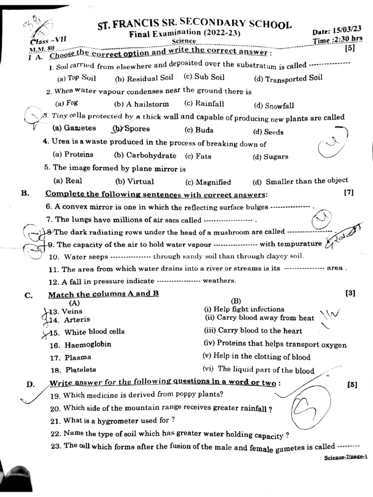 science final paper | PDF