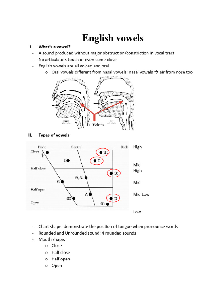 Understanding English Vowels and Diphthongs | PDF | Vowel | Human Voice