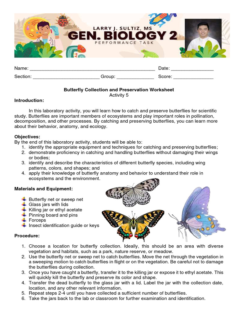 Activity 5 Butterflies | PDF | Butterfly