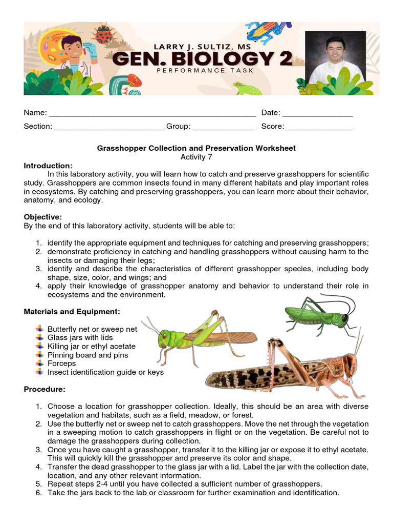 Activity 7 Grasshoppers | PDF