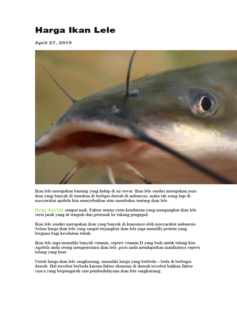Macam-Macam Lele Dan Harga Ikan Lele | PDF