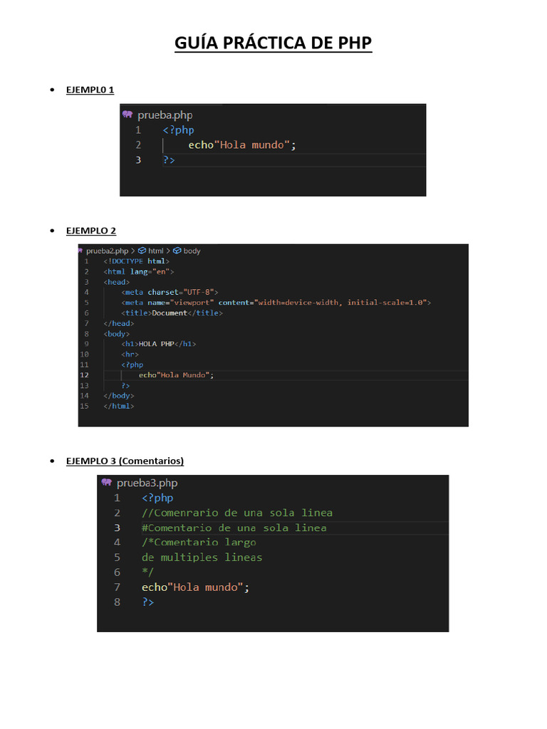 Guía Práctica de Php | PDF | Función (Matemáticas) | Tipo de datos
