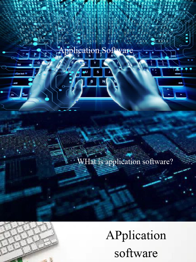 Application Software | PDF | Software | Computer Security