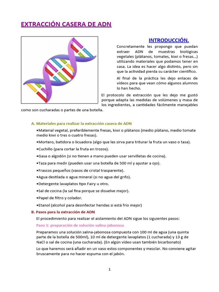 Extraccion Casera de ADN | PDF | sal | Espuma