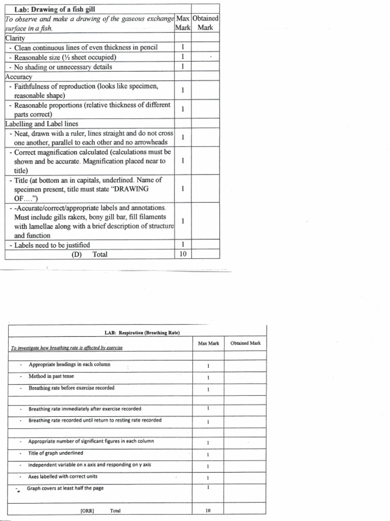 Biology Mark Schemes 1 | PDF