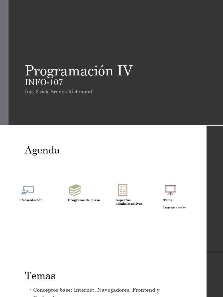 Lenguajes Visuales | PDF | Objeto (informática) | Programación orientada a objetos