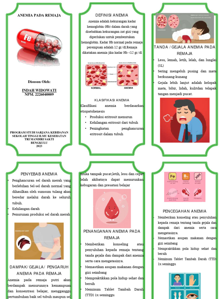 Leaflet - Anemia Pada Remaja | PDF