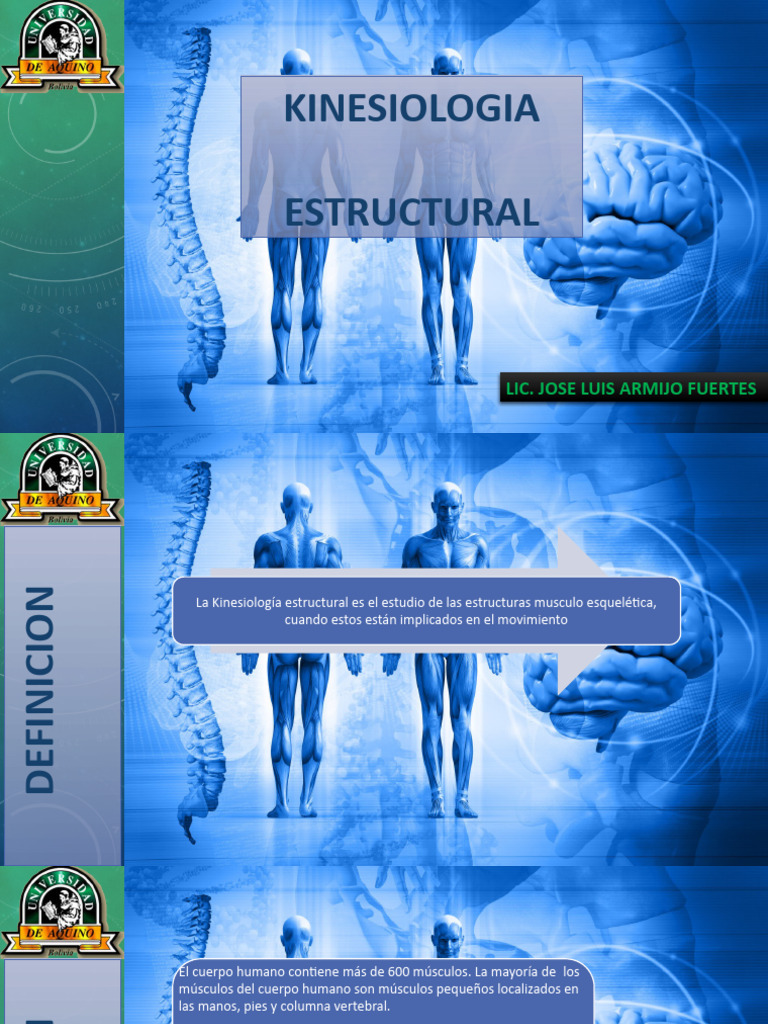 Tema 2 Kinesiologia Estructural (Autoguardado) | PDF | Articulación | Contracción muscular