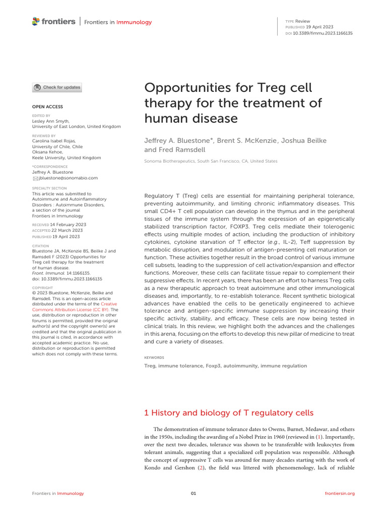 Treg Cells | PDF | Immune Tolerance | Hematopoietic Stem Cell ...