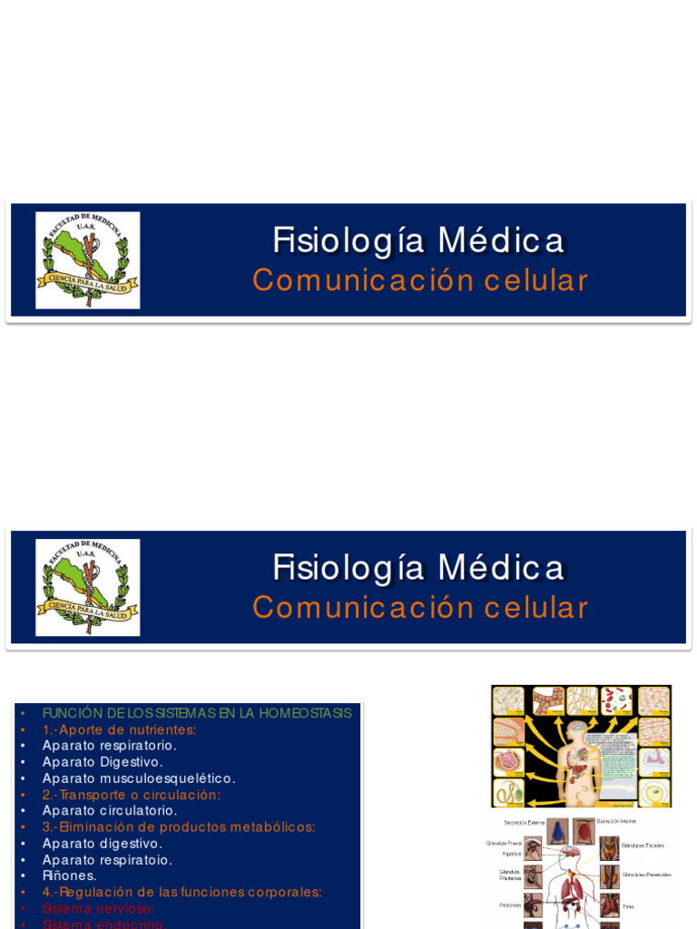 Tema 7 Clase 1 Comunicacion celular Generalidades y Tipos de Comunicacion celular | PDF | Señal ...