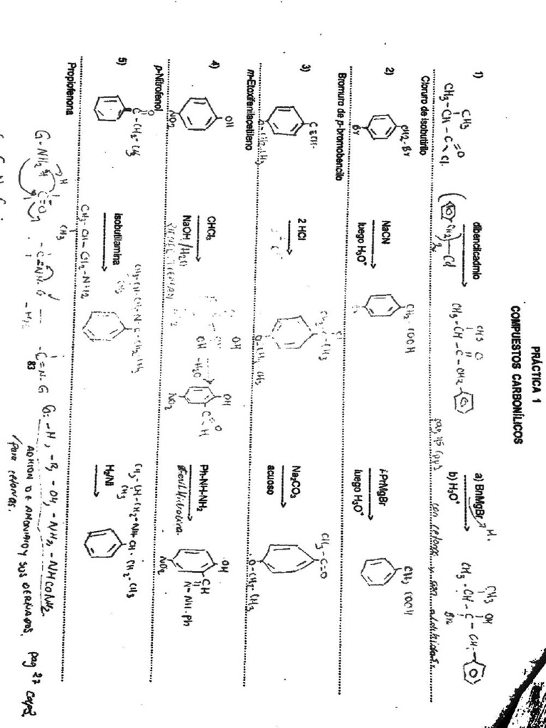 Scan 31 Ene 24 23 55 48 | PDF
