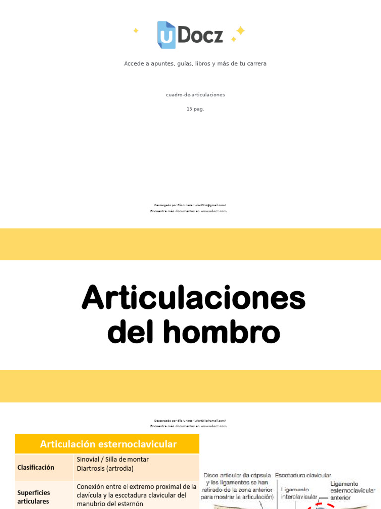 Cuadro de Articulaciones 400275 Downloable 1911565 | PDF | Articulación | Extremidades (anatomía)