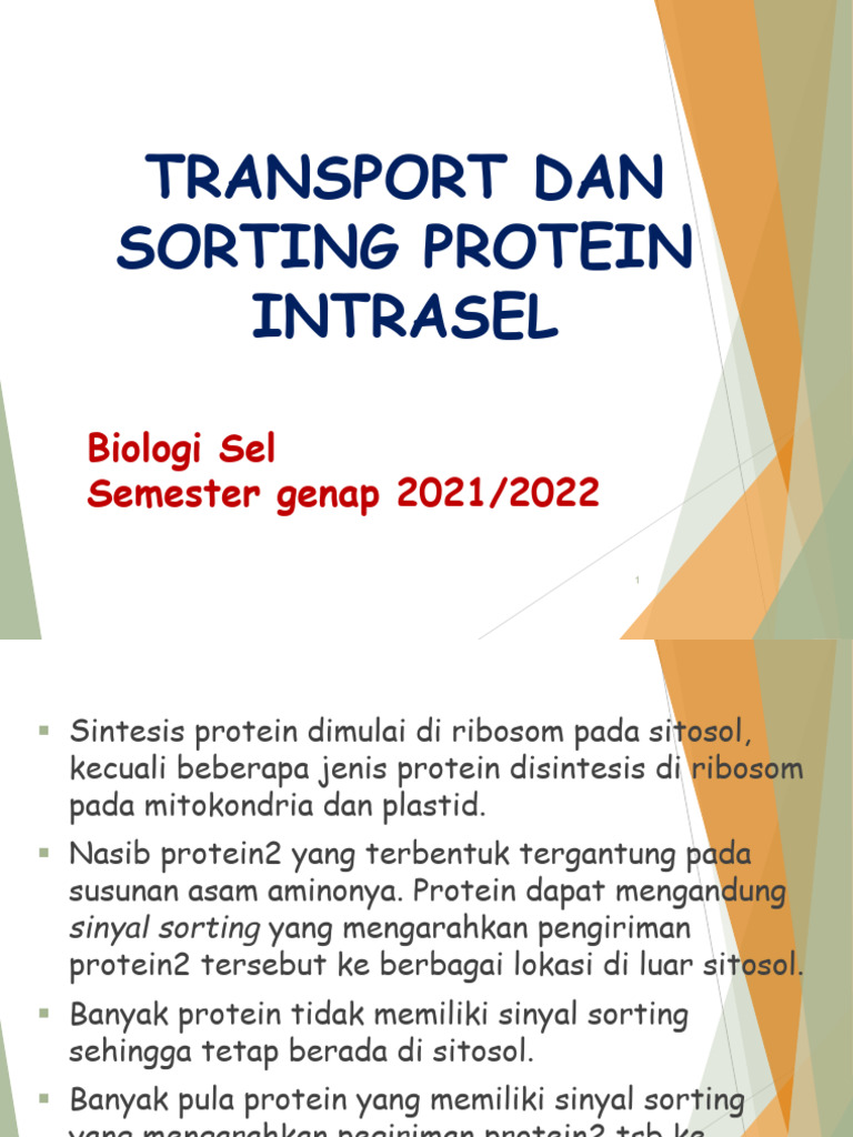 06 - Transport Dan Sorting Protein Intrasel | PDF
