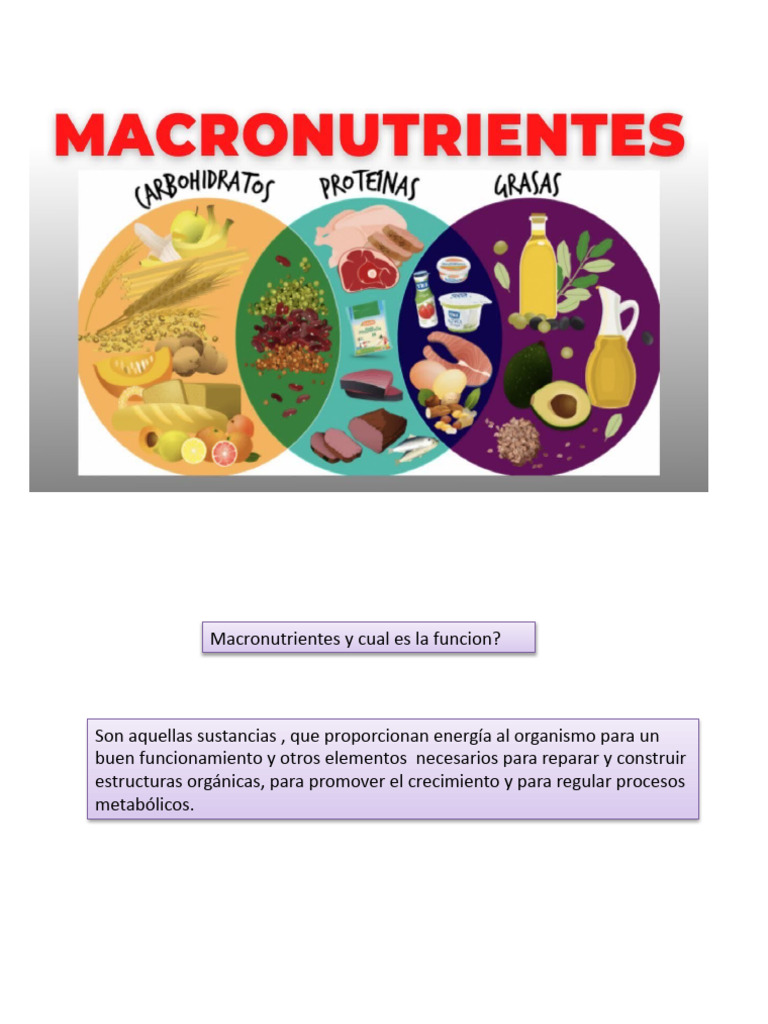 Funciones y tipos de macronutrientes | PDF | Alimentos | Dieta