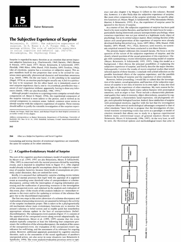 The Subjective Experience of Surprise | PDF | Experience | Emotions