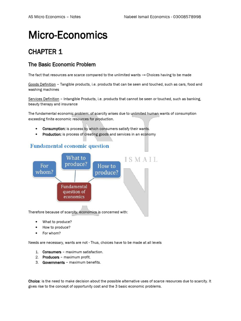AS Micro Notes - NI | PDF | Economic Equilibrium | Demand