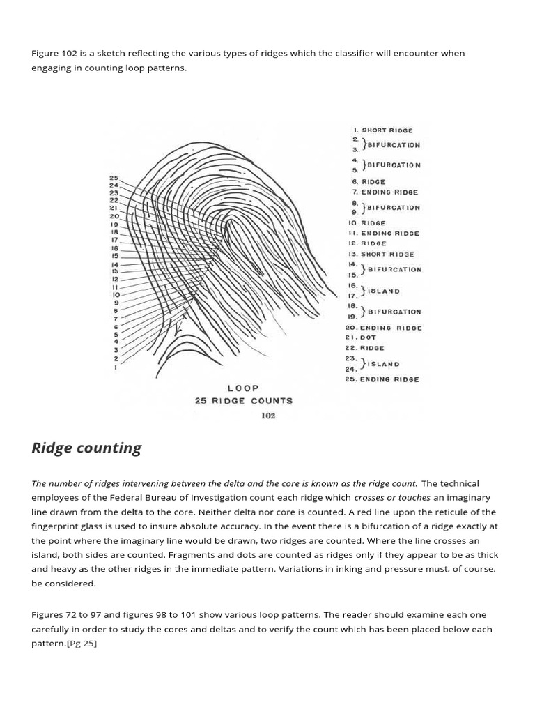 The Rebundancy of Budgeting | PDF