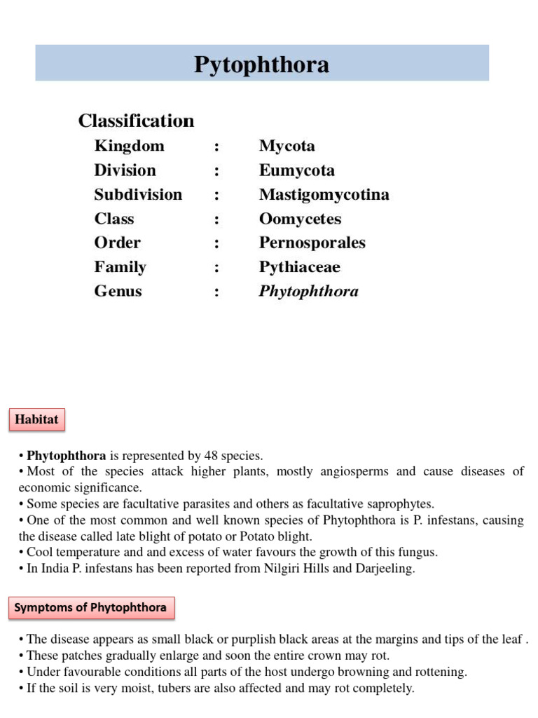 Life Cycle of Phytophthora | Download Free PDF | Organisms | Plants