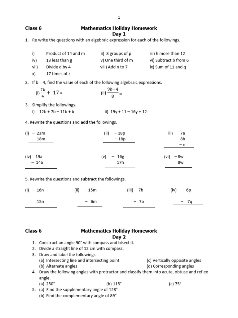 Class 6 Maths Holiday Homework | PDF | Angle | Area