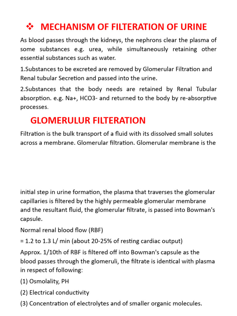 Mechanism of Filteration of Urine 5 | PDF | Kidney | Urinary System