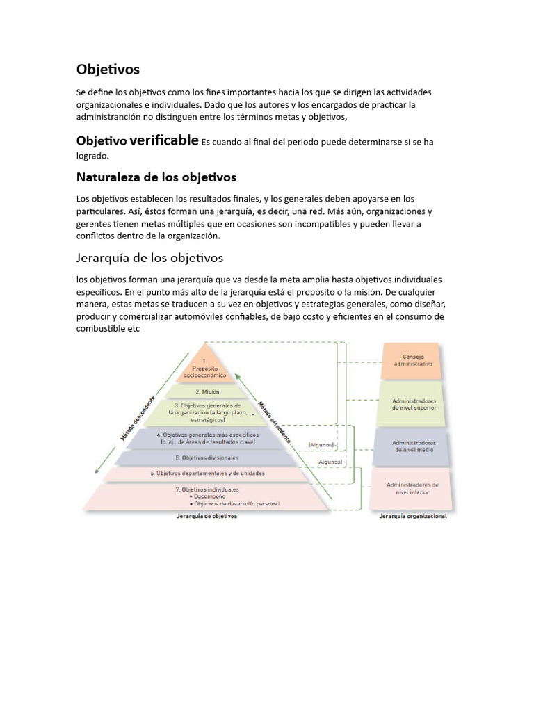 Objetivos | PDF | Business | Innovación