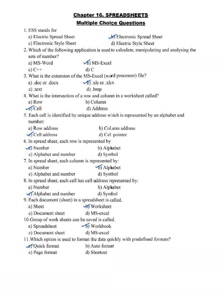 1st Puc Computer Science MCQ Questions Chapter 16 Spreadsheets | PDF