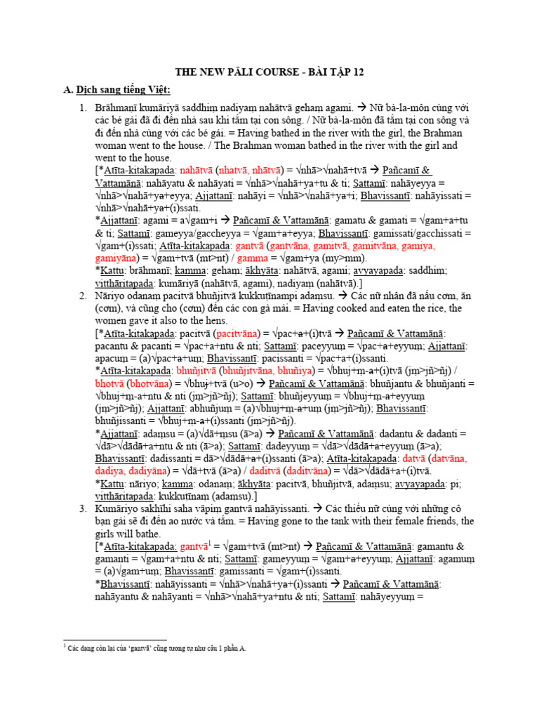 Sửa bài tập 12 (The New Pali Course) | PDF