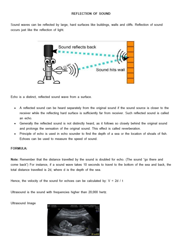 Echo | PDF | Ultrasound | Sound