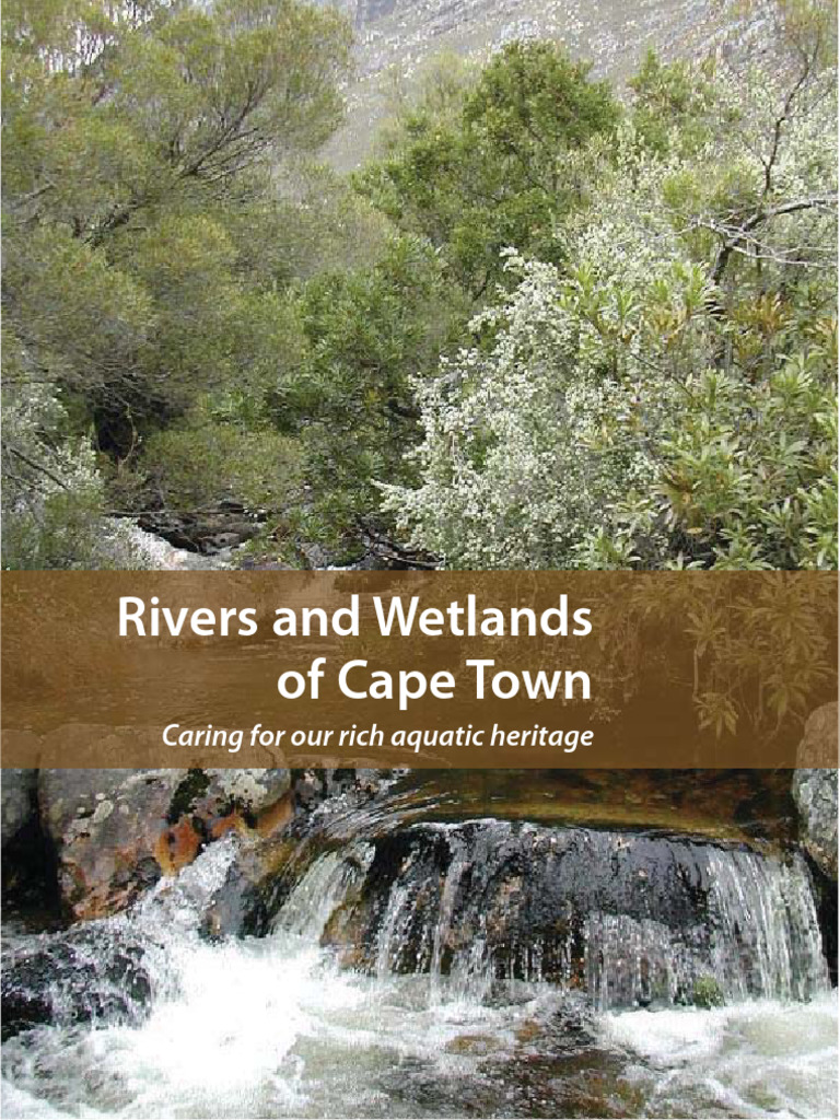 Rivers | PDF | River | Stormwater