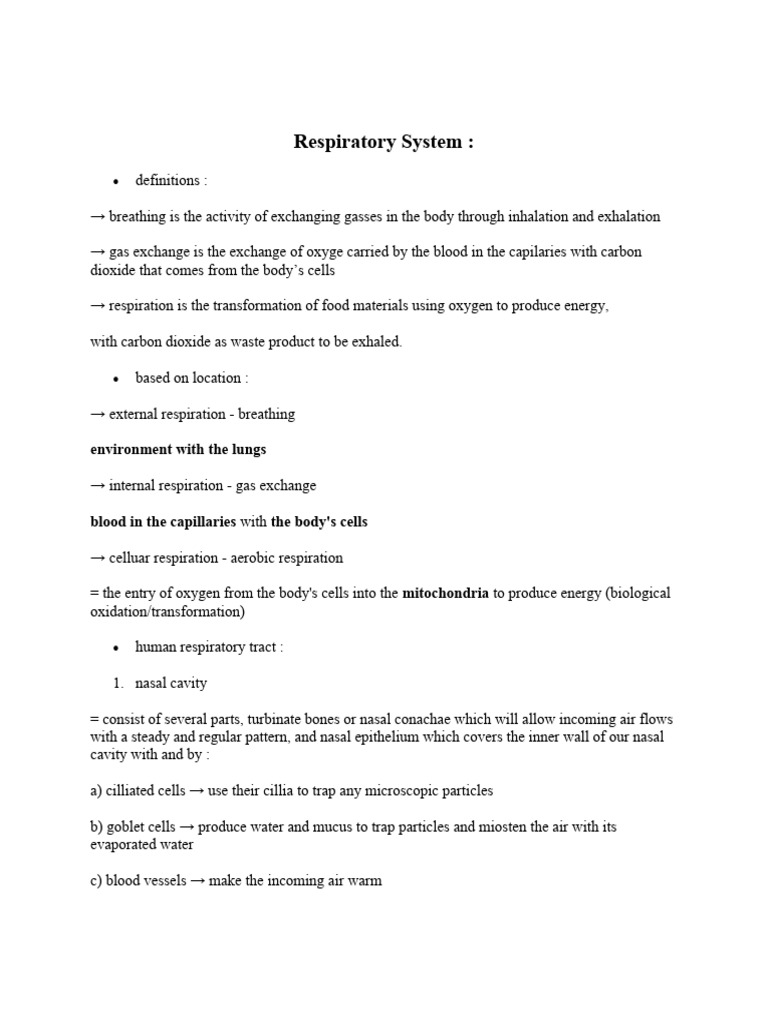 Respiratory System | PDF | Respiratory Tract | Lung