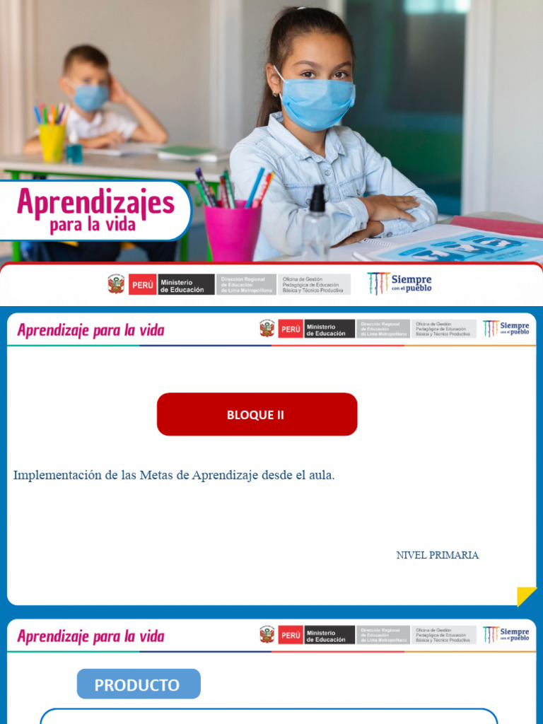 Metas de Aprendizaje Primaria | PDF