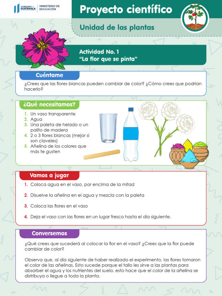 Unidad 4 - Las Plantas - Proyecto Científico | PDF